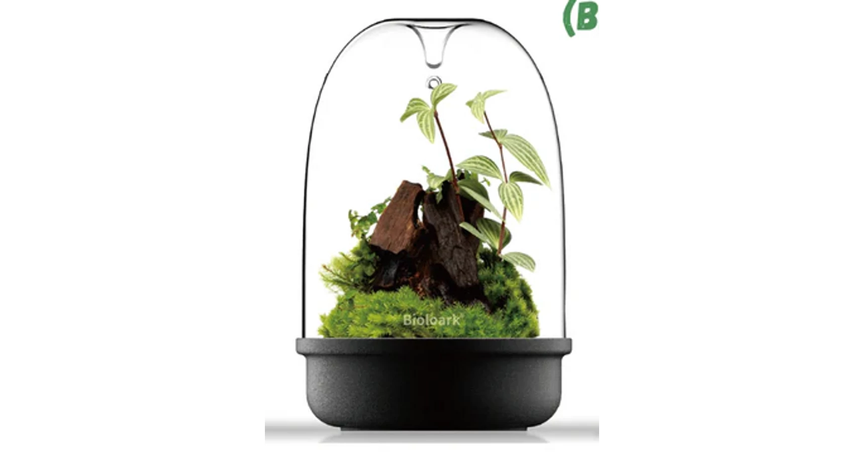 Bioloark Luji Glass Cup MQ-150 (fekete) ár - Vadvilágbolt akvarisztikai ...
