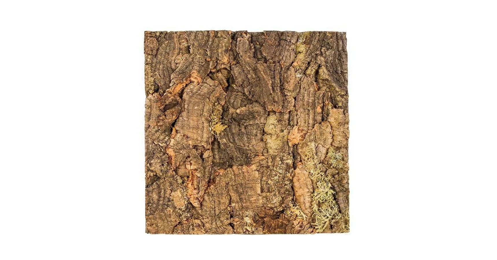 Parafa háttér L 60x30 cm ár - Vadvilágbolt akvarisztikai webshop